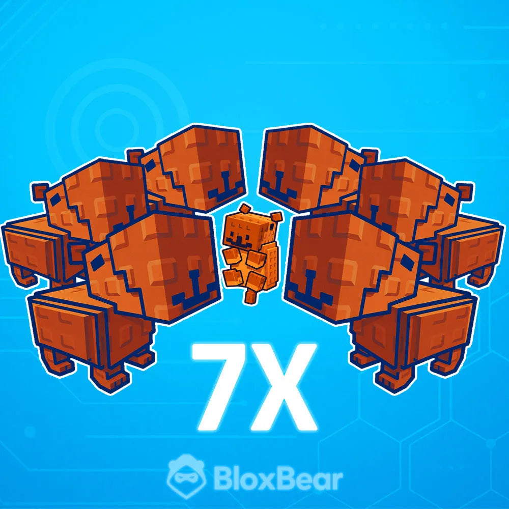 Level Up Bundle – BloxBear