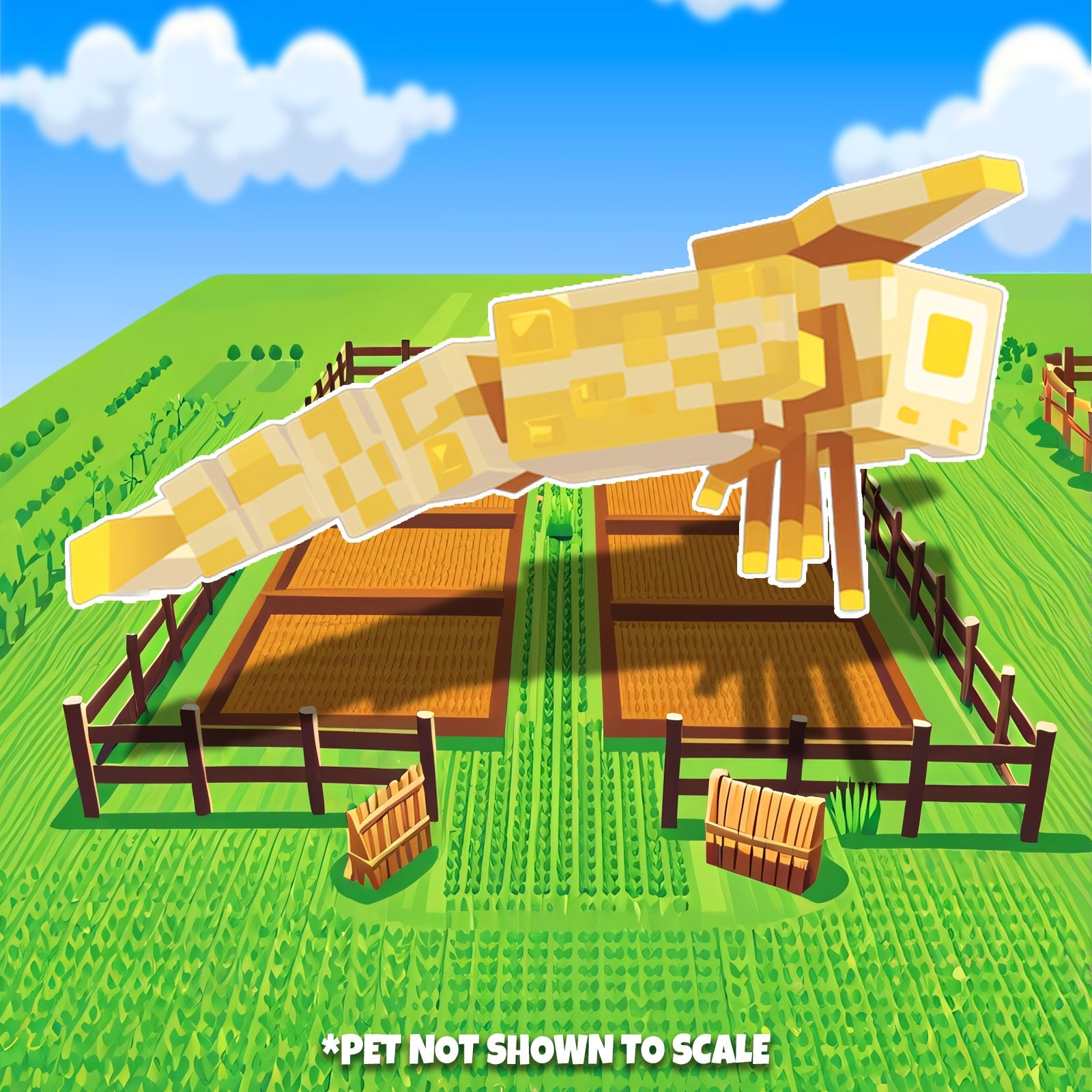 Collections – BloxBear