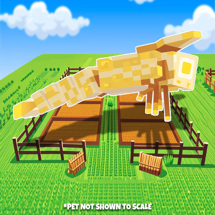 Collections – BloxBear