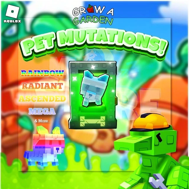 Collections – BloxBear